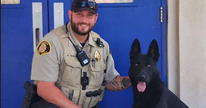 Montrose County Sheriff’s Office K9 Voodoo getting a new vest | Western ...