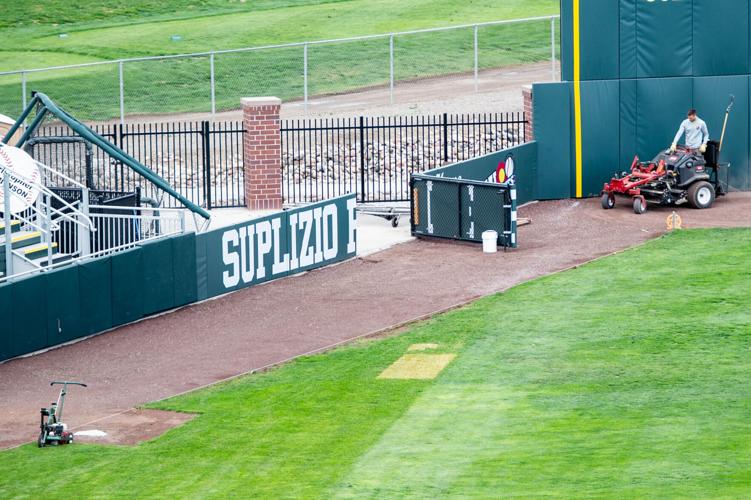 Green scene: Getting Suplizio Field ready for the show | Western ...