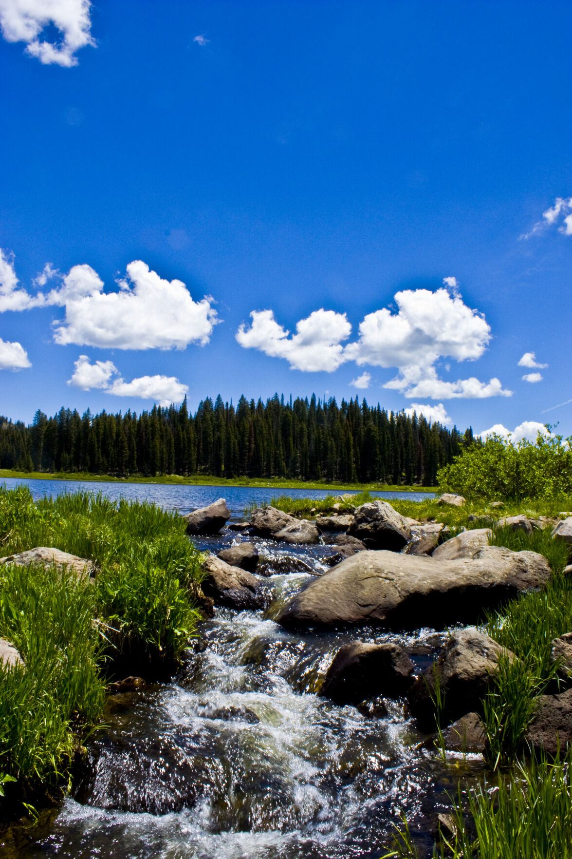 Ute Water celebrates 65 years of clean water | Special Sections ...