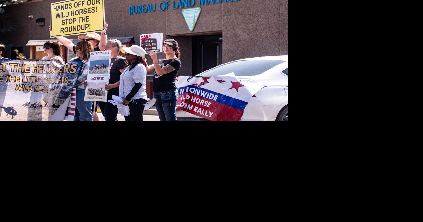 Horse roundup protested at BLM office | News | gjsentinel.com