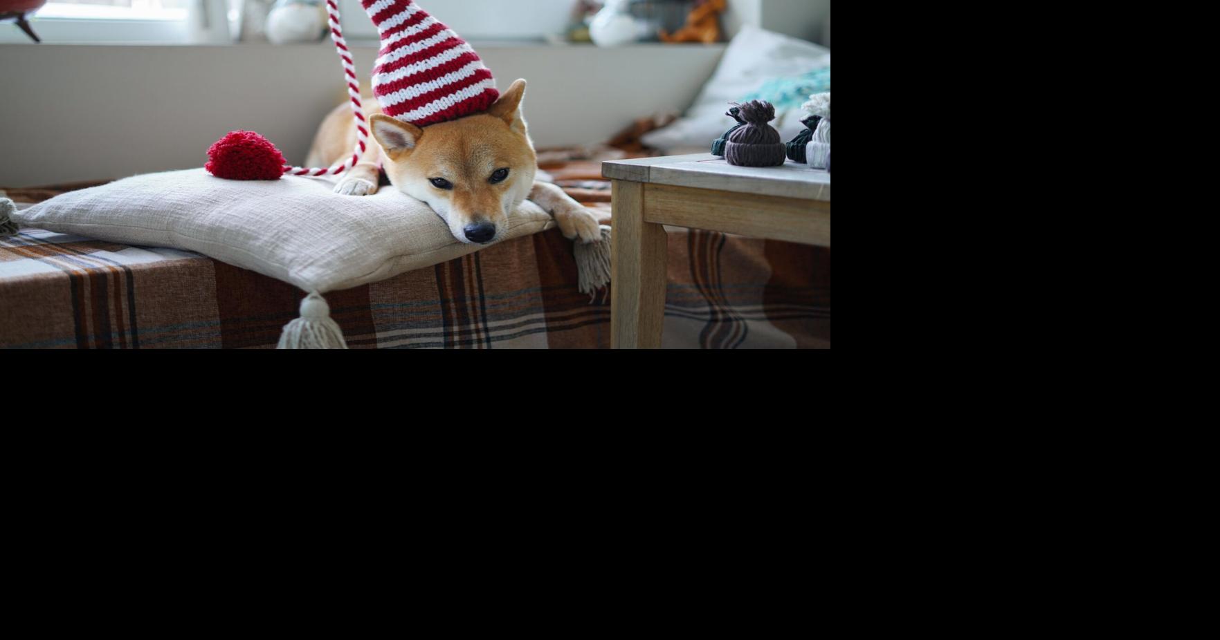 Weekly Mortgage Rates Stable But Could Dip Lower | National ...