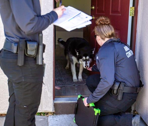GJ animal control unit looks back on first year of service | Western ...