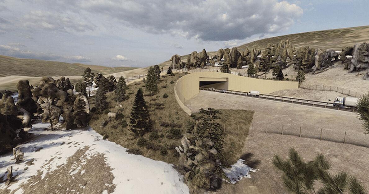 Wildlife crossings on I-70 over Vail Pass? | Western Colorado ...