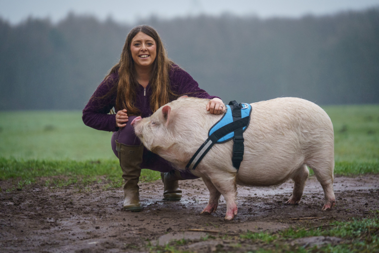 Woman creates unique therapy with pigs | Health and Wellness ...