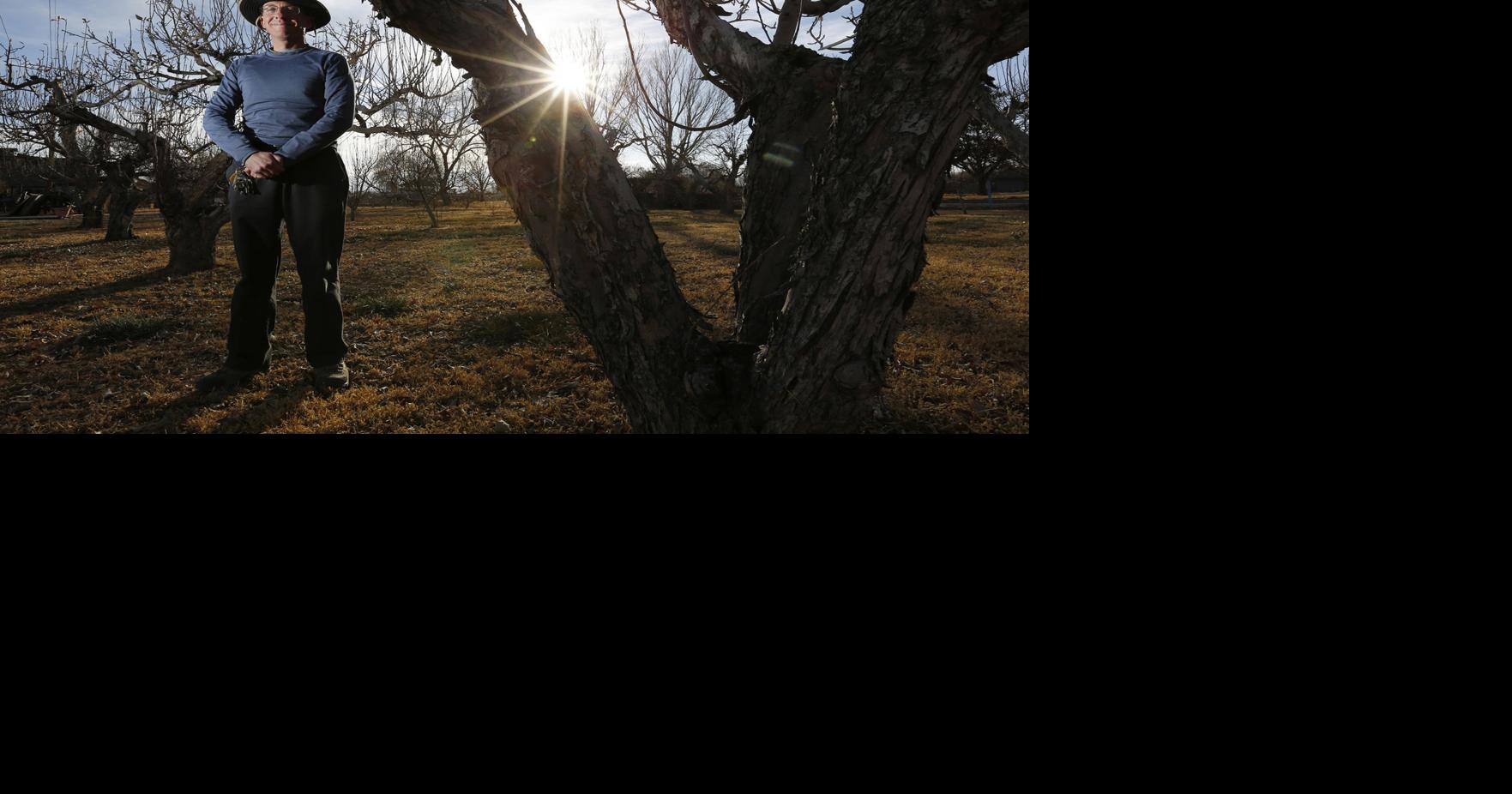 New manager's goal: revitalize Cross Orchards' living history farm ...