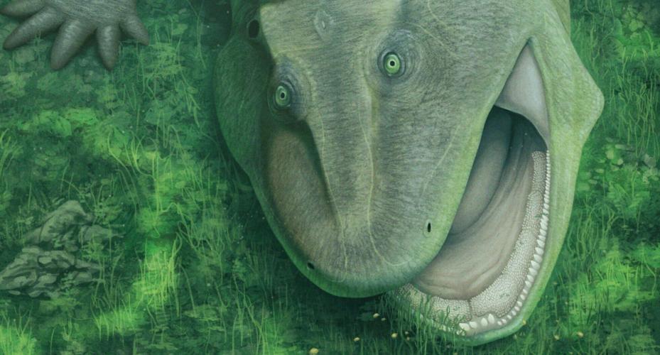Creature with twisted jaw and sideways-facing teeth discovered ...