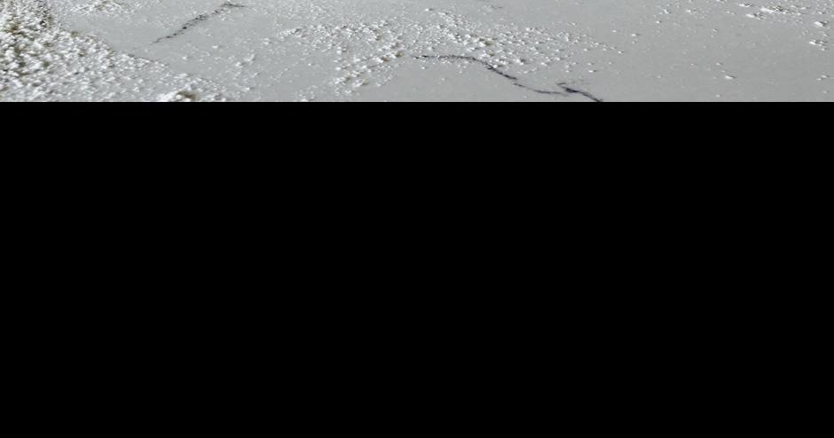 'Garbage pizza': Sometimes the best pizza ingredients can come from ...