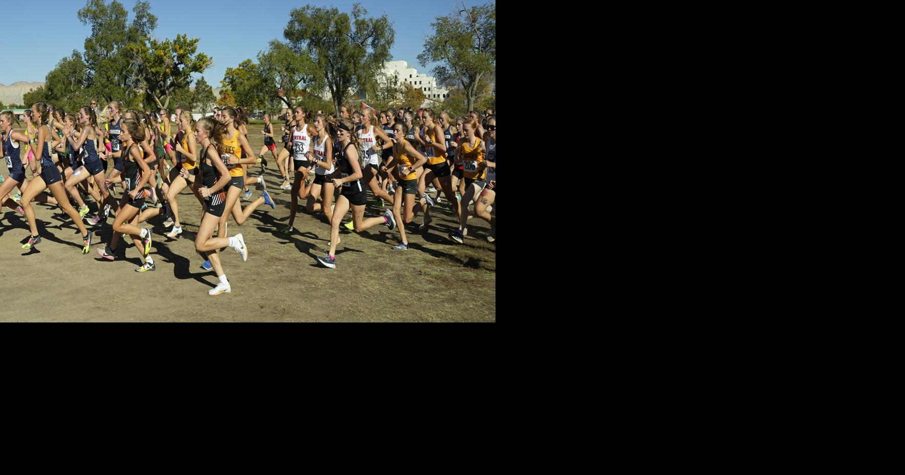 Central girls, Grand Junction boys end long state cross country ...