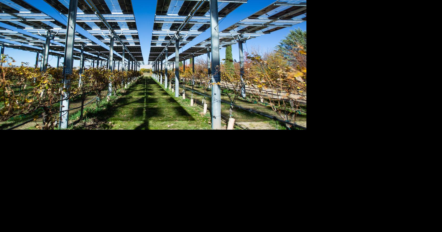 CSU unveils new agrivoltaic system at its Western Colorado Research ...