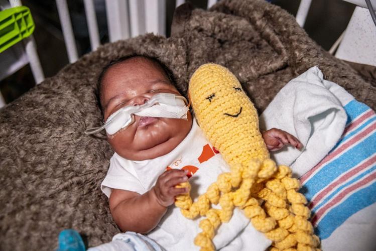 Hospital crochets octopuses to comfort premature patients | Health and ...