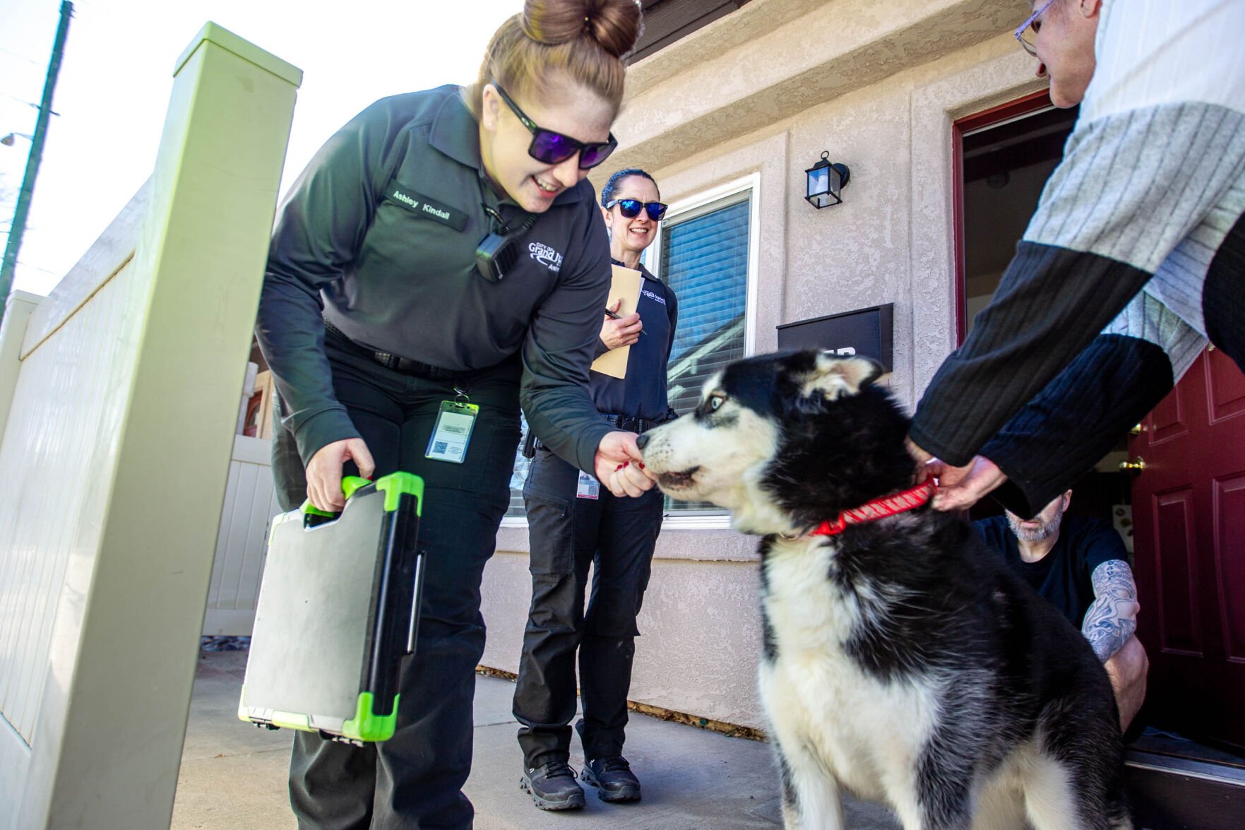 GJ animal control unit looks back on first year of service | Western ...