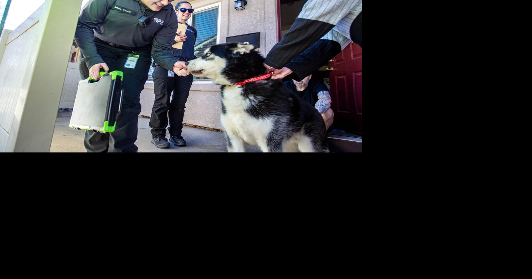 GJ animal control unit looks back on first year of service | Western ...