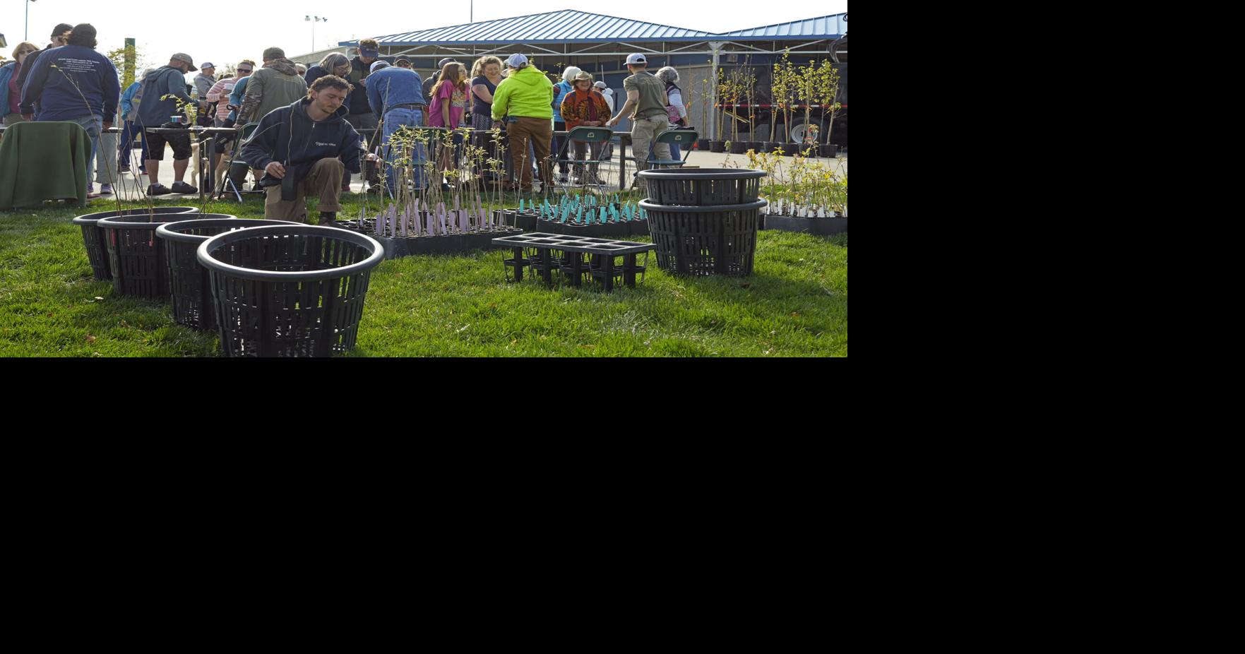 Arbor Day fest emphasizes environmental stewardship, gives more than ...