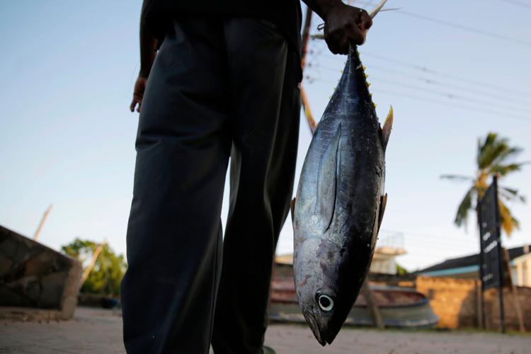 European fishing firms reflag ships to tap Indian Ocean tuna quotas ...