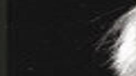 calling people dense