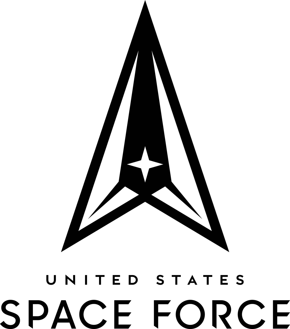 Space Force logo available for vets of new military branch | Western ...