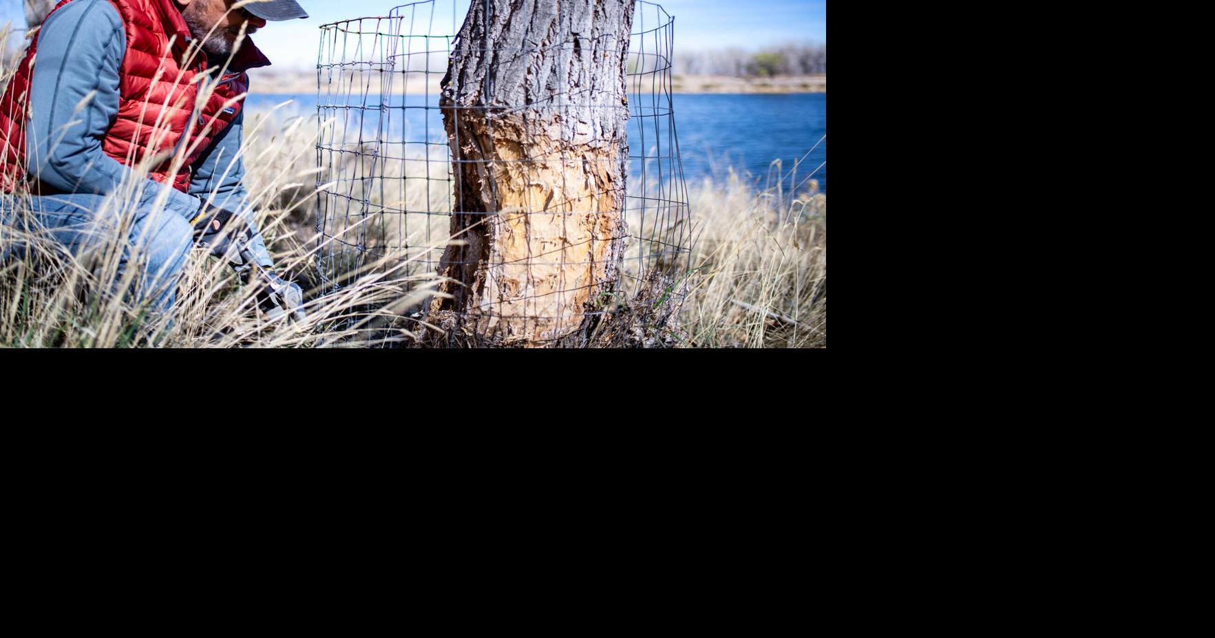 RiverEdge West volunteers hold first clean up of the year | Western ...