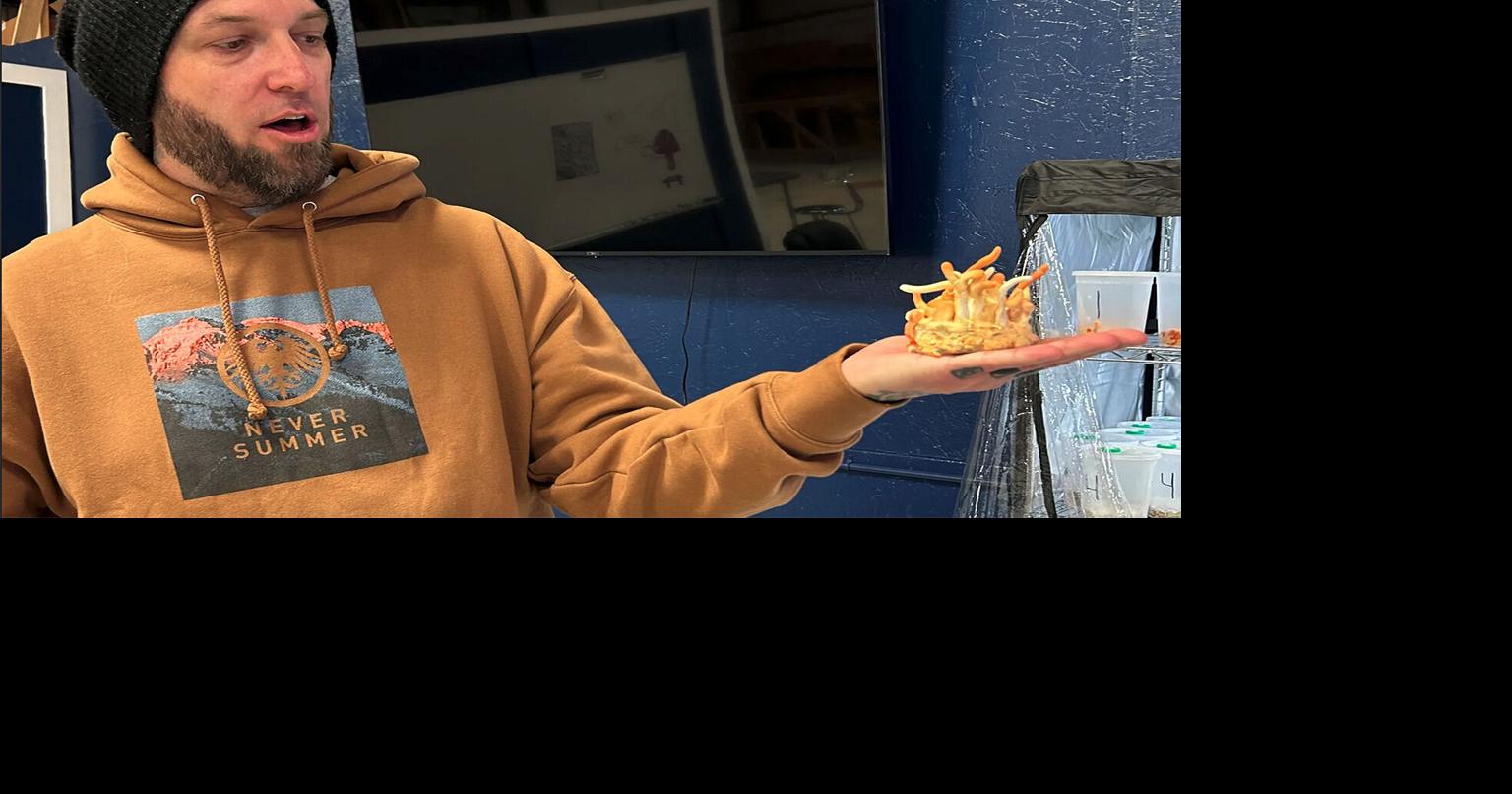 The Colorado psychedelic mushroom experiment has arrived | Western ...