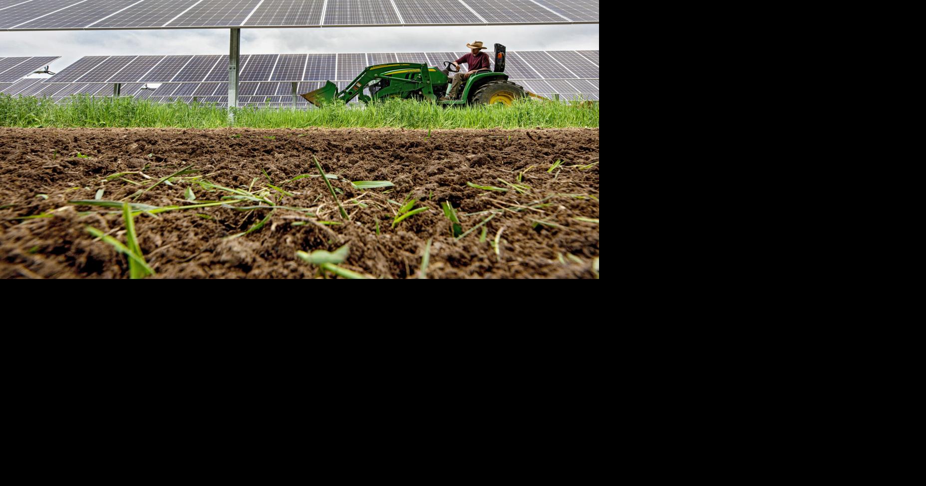 Talbott Farms gets $700k grant for agri-voltaic system | Western ...