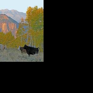 Renowned photographer Fielder promotes new book on ranches | Art ...