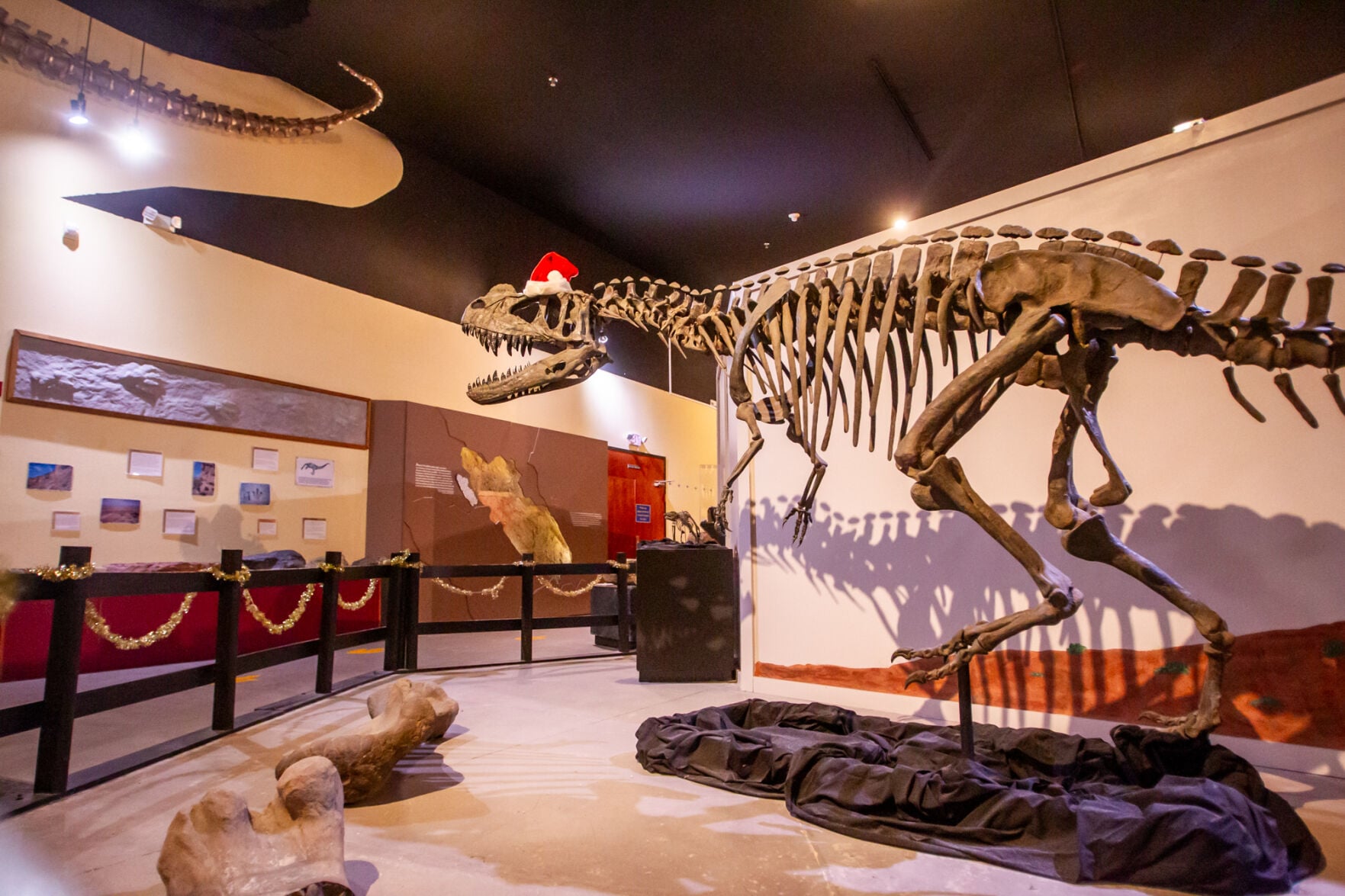 Museums of Western Colorado looking at consolidating to one campus ...