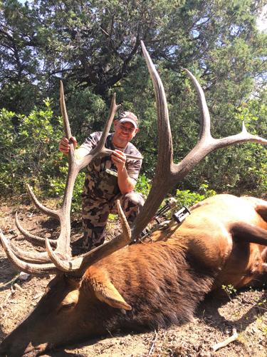 Unlimited archery elk hunting to end on Grand Mesa | Western Colorado ...