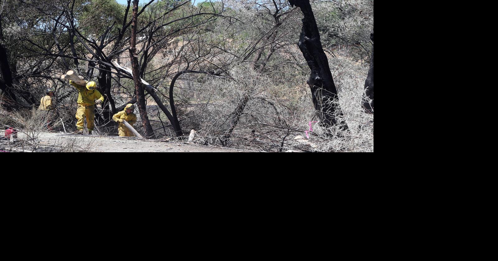Water drops from air save 7 homes | Western Colorado | gjsentinel.com