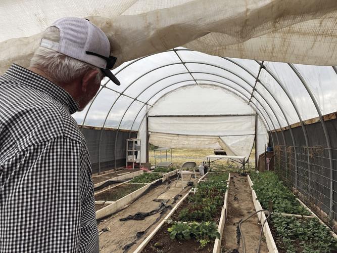 Open market: Farmers market season begins as Z's Orchard celebrates ...