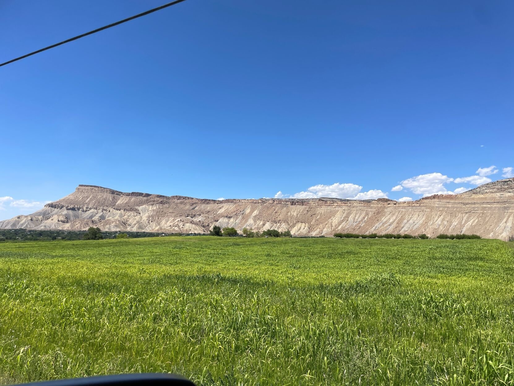 Palisade orchard protected, Land Trust nears goal of conserving 1,000 ...