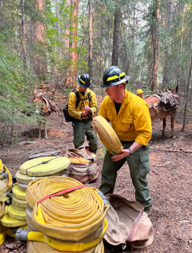 GJ wildland fire crews lend a hand, gain experience on deployments ...