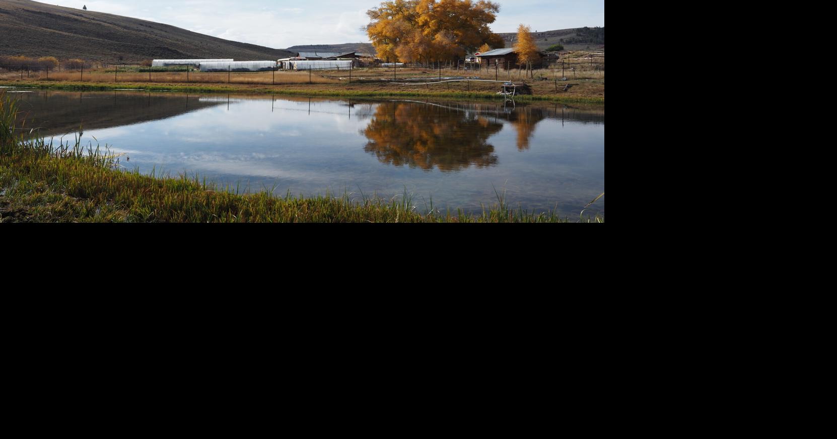 Farm conservation will preserve agriculture use, protect sage-grouse ...