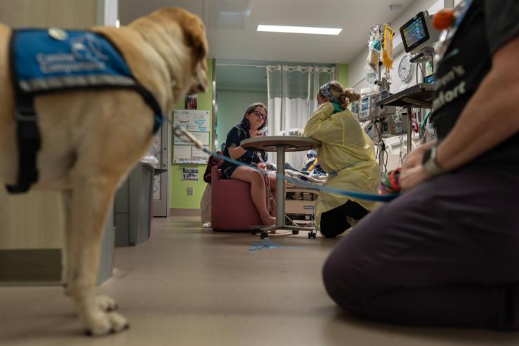 Healing with a wag and a nuzzle, meet the dogs brightening hospital ...