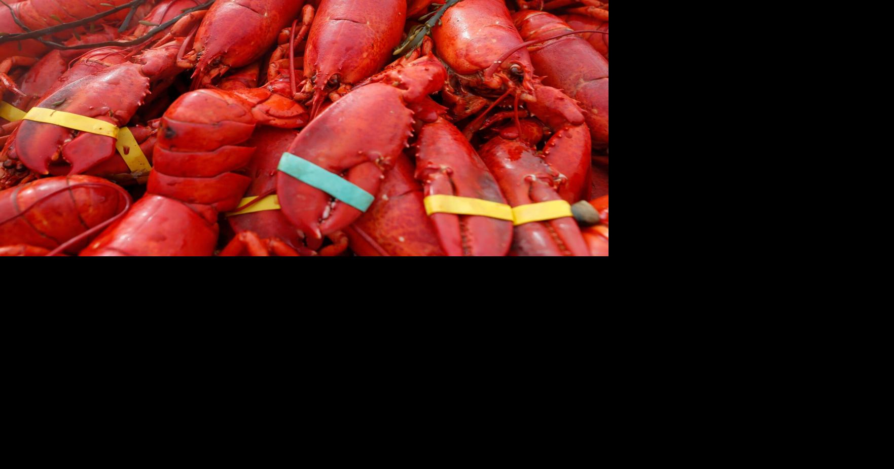 Oysters, crab and $400,000 worth of lobster meat stolen in New England ...