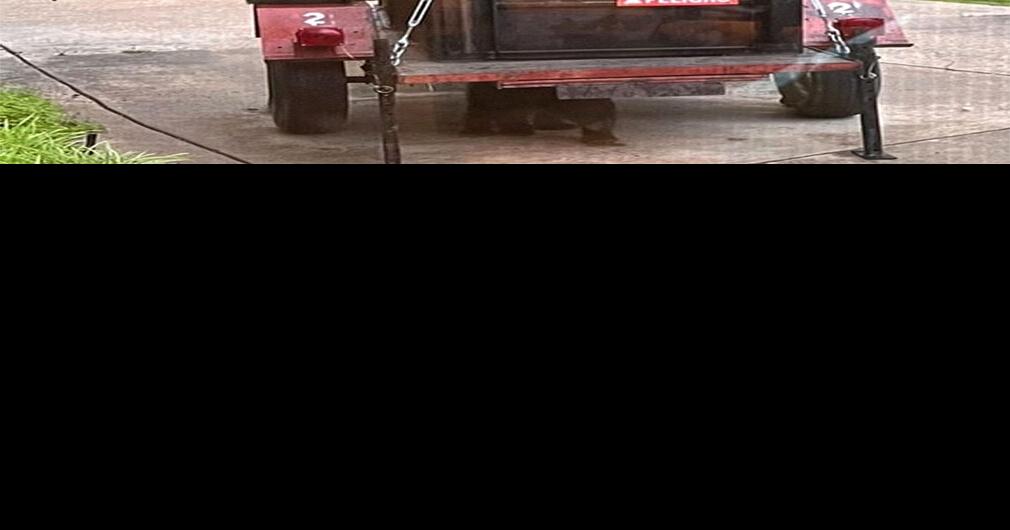 Conflicting accounts over how bears entered Aspen home | Western ...