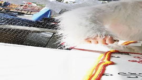 rooster junction nebraska