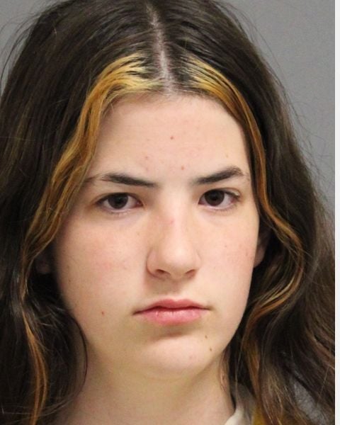 Delta to Hayden high-speed chase started with Mesa County carjacking ...