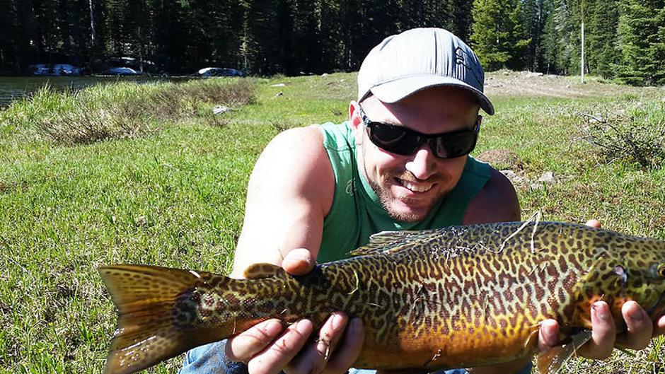 record tiger trout