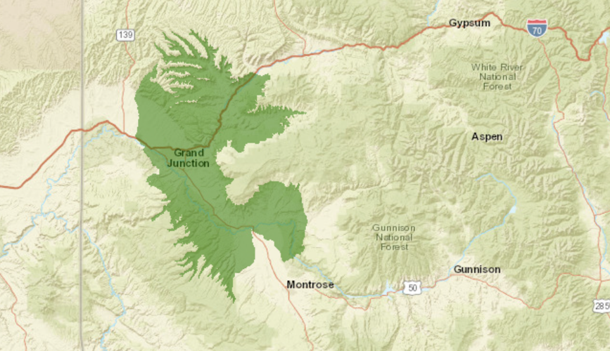 Local cactus no longer requires threatened-species listing | News ...