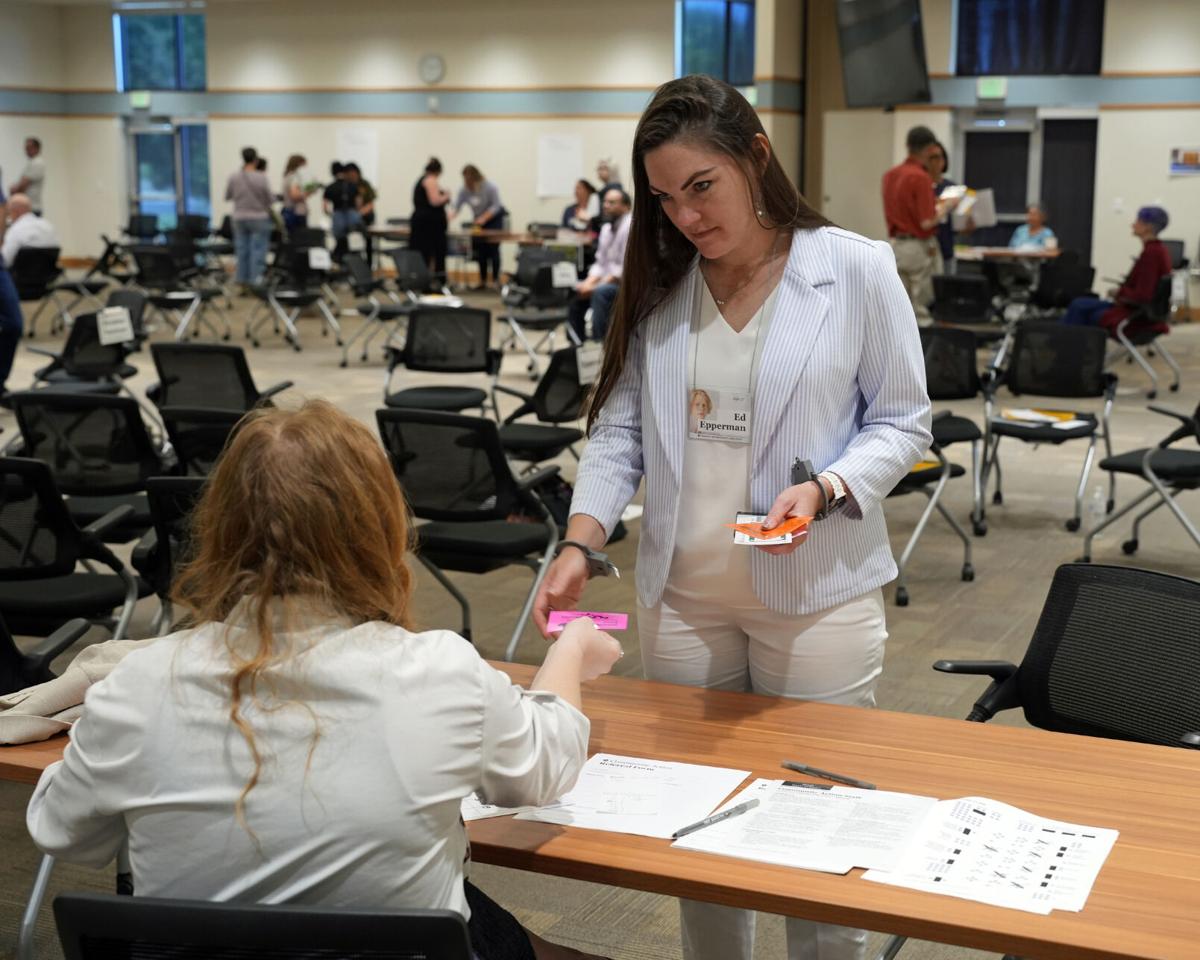 Stout jumps into race for Congress | Western Colorado | gjsentinel.com