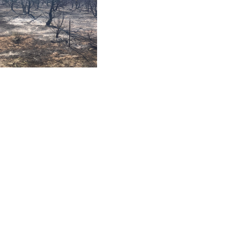 Home lost in Rulison brush fire | Western Colorado | gjsentinel.com