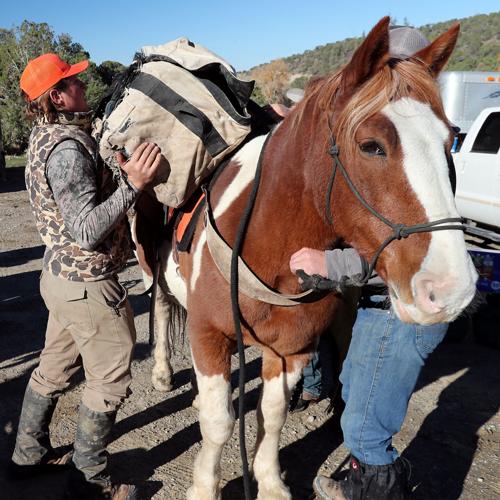 Hunting for a solution: CPW looks for balance in allocating in-state ...