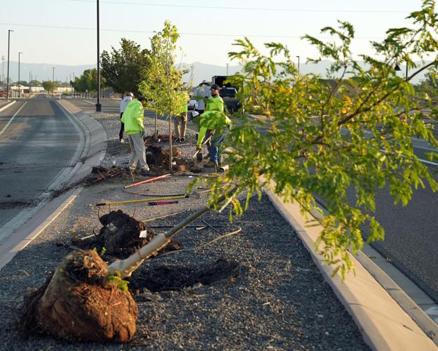 Busy year for Grand Junction tree work coming to an end | Western ...