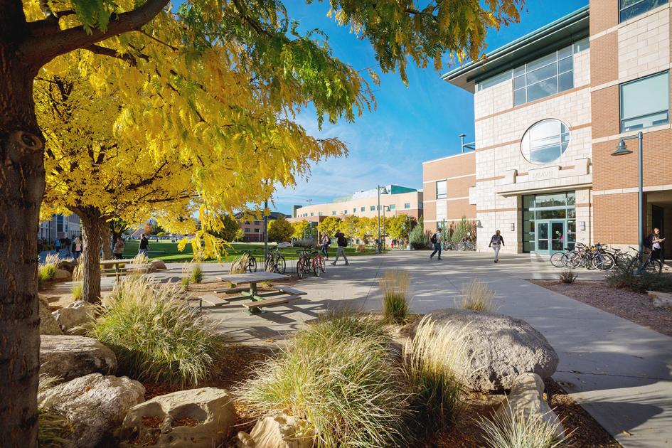 Campus Opportunities: Discover employment and growth at CMU | Special ...