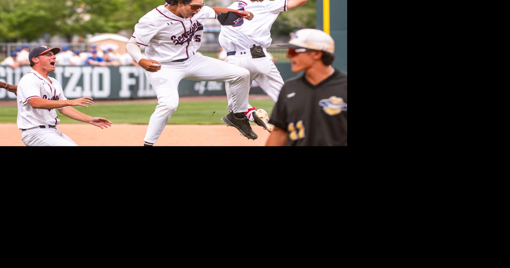 Fenton's walk-off single lifts Walters State to win in back-and-forth ...