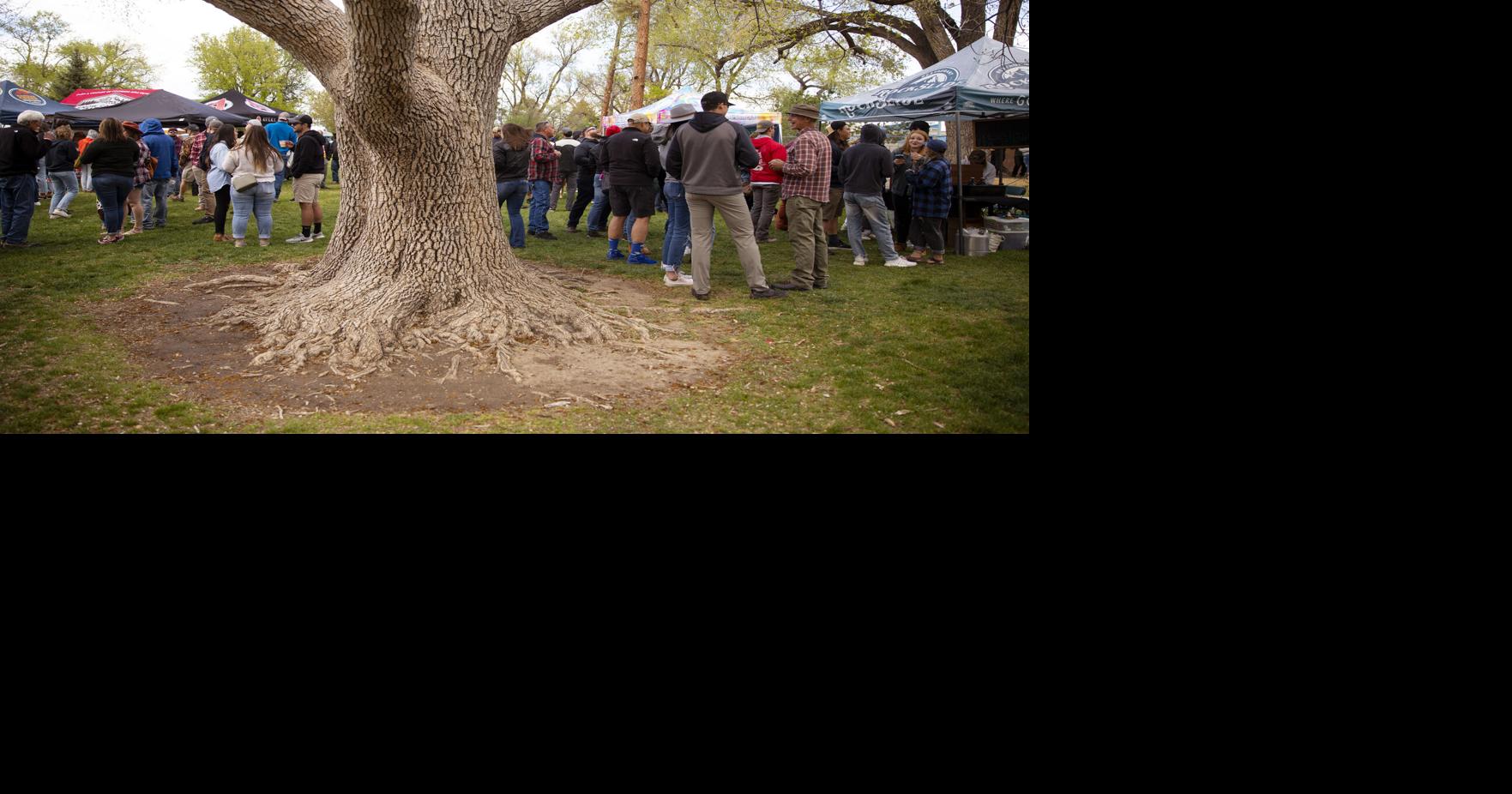 Arbor Fest is Saturday | Briefs | gjsentinel.com