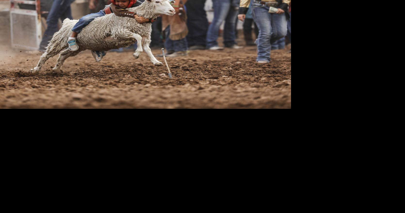 Photos: Rimrock Rodeo fun for all ages | Multimedia | gjsentinel.com