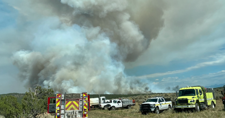 Nucla-area fire tops 2,000 acres in size | News | gjsentinel.com