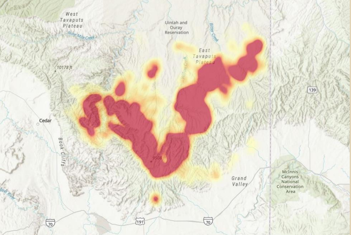 Locals cool to idea of wildlife designation for bison | News ...