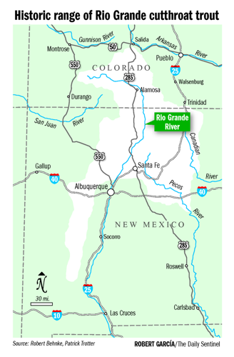 cutthroat trout range