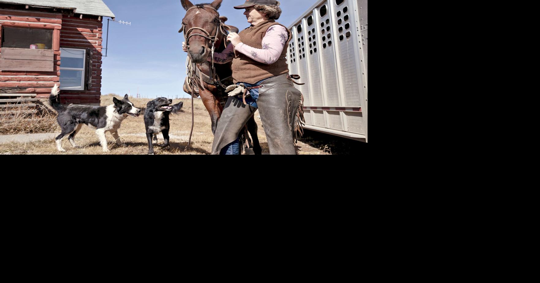 Group: Health of many BLM grazing parcels sub-par | News | gjsentinel.com